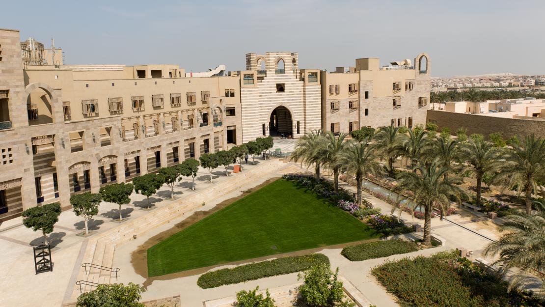 Tapping into Homegrown Talent: Student Interns Engage in AUC Next 100 ...