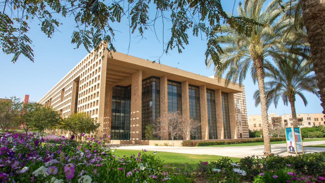 Medhat Haroun Award Winner for Scholarly Excellence 2021 | AUC School of Sciences and Engineering